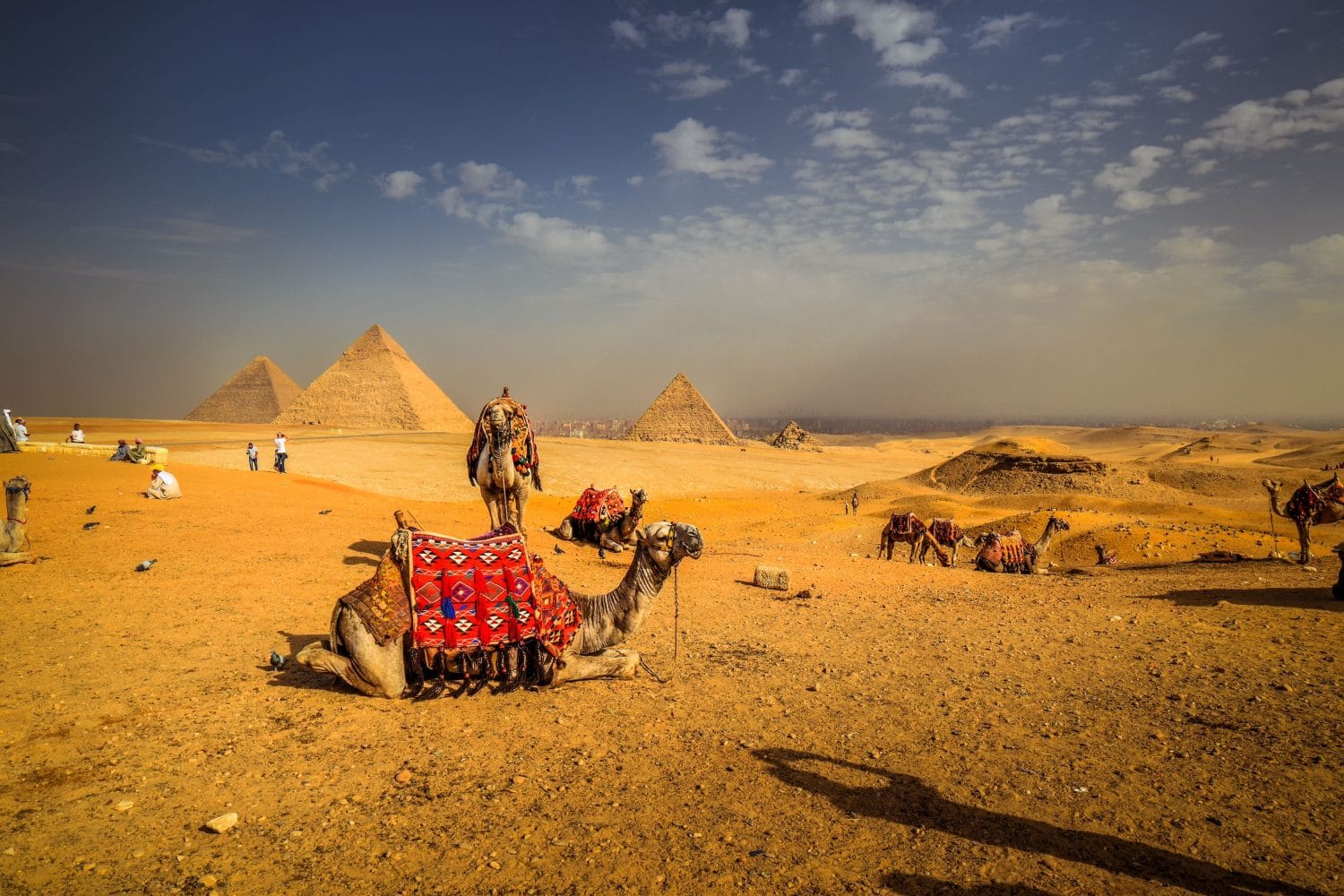 Egypt's Winter Charms: An In-depth Guide To Unveil Treasures